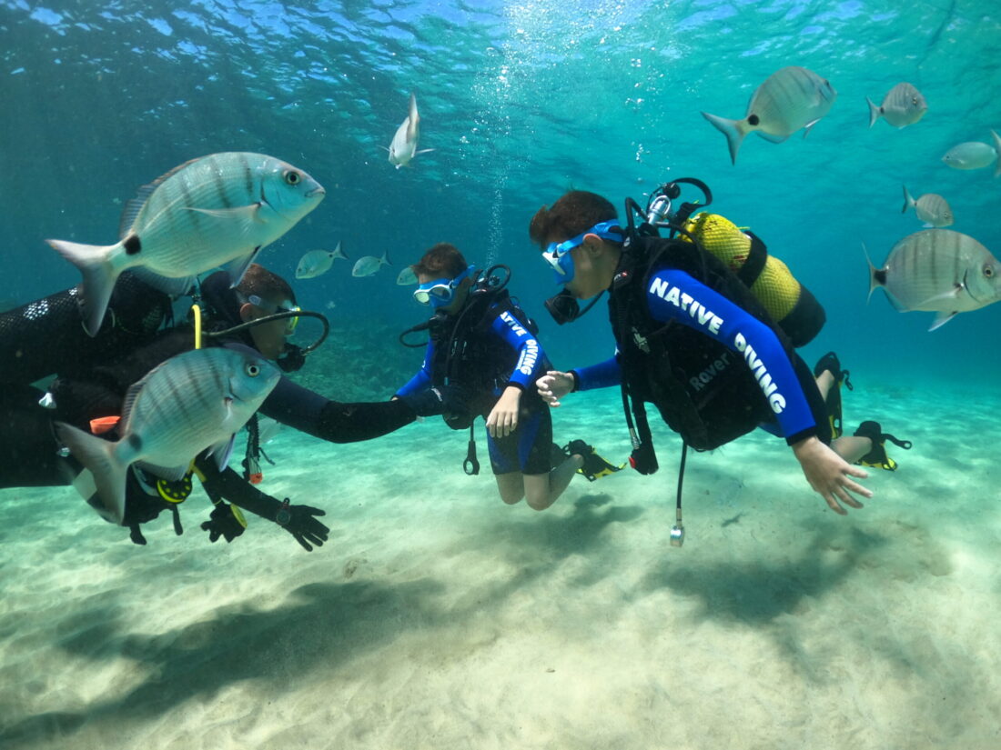 Try Scuba Diving in Lanzarote: Your First Great Underwater Adventure ...